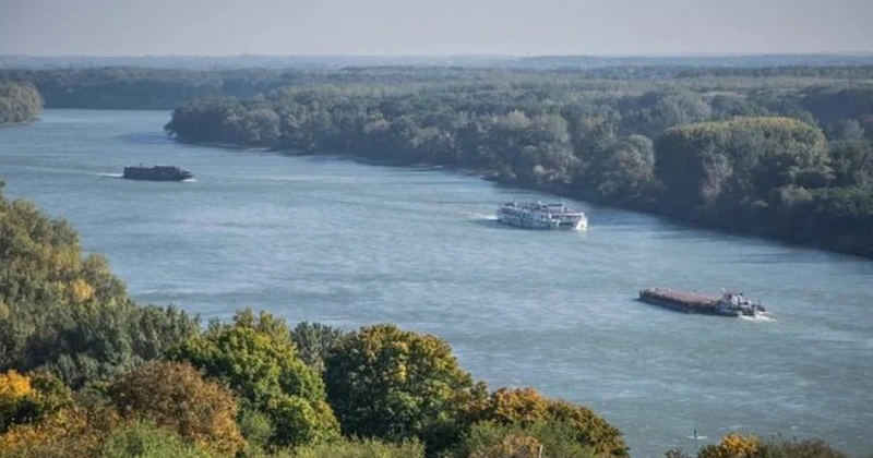 Economica.net - Business la minut